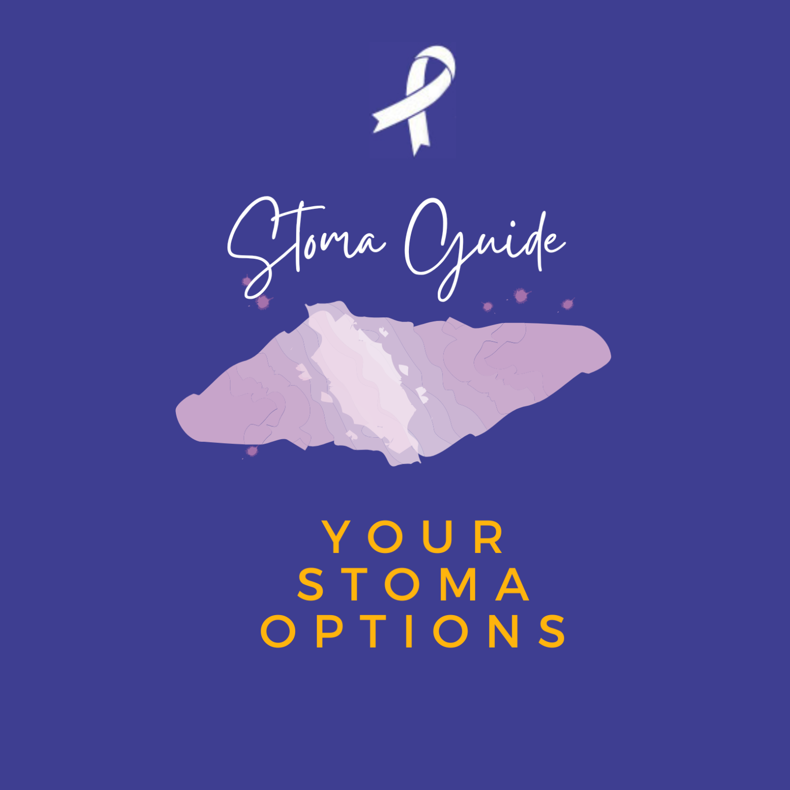 A Comprehensive Guide to the Different Types of Stoma Bags - Oxford ...